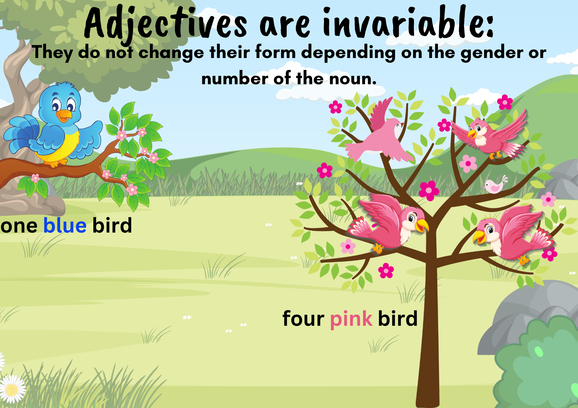 How to use adjectives & The order of adjectives [Adjectives 2 &3/12 ...