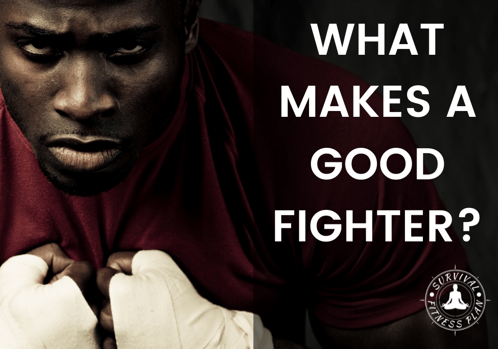 What Makes a Good Fighter? - Survival Fitness Plan