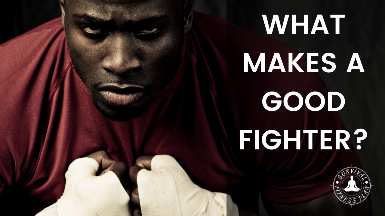 What Makes a Good Fighter? - Survival Fitness Plan