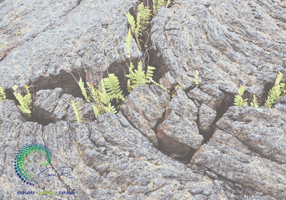 Navigating Life’s Turning Points: Embracing Growth and Resilience