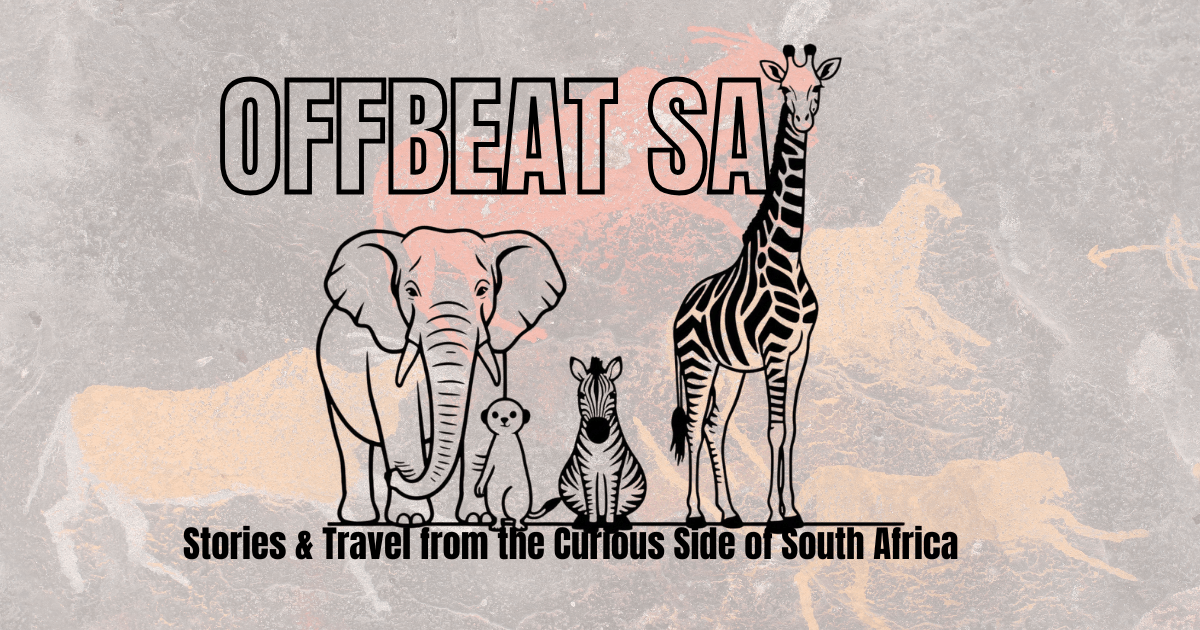 About | Offbeat SA