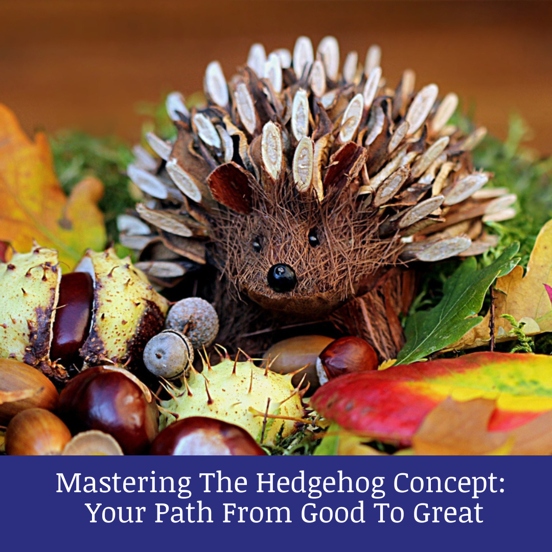 Mastering The Hedgehog Concept: Your Path From Good To Great