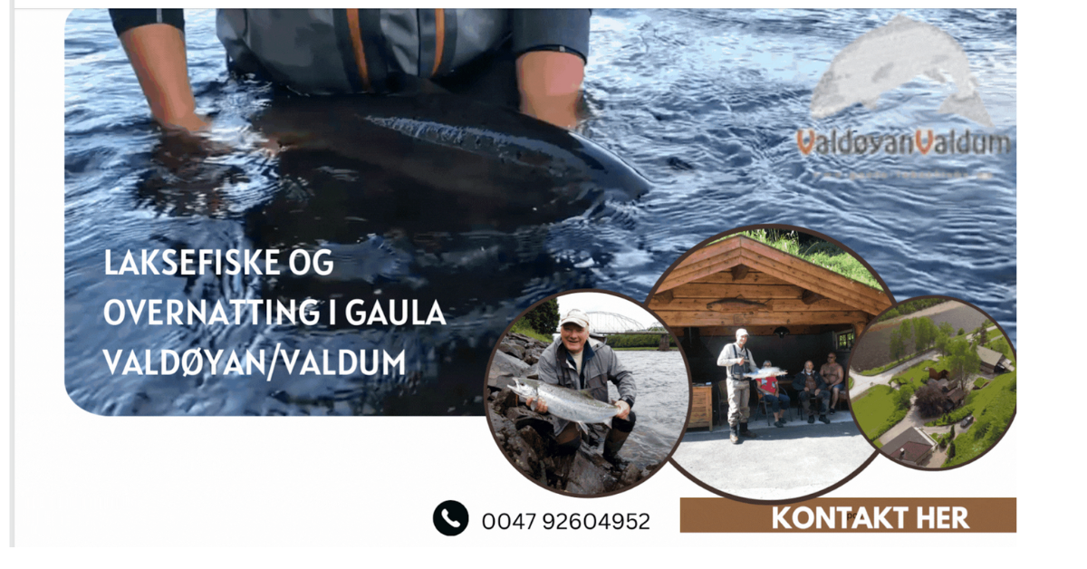 Laksefiske i Gaula 2026