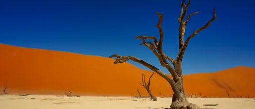 What Are the Symptoms of Dehydration? Who to See - Tiger Medical Institute