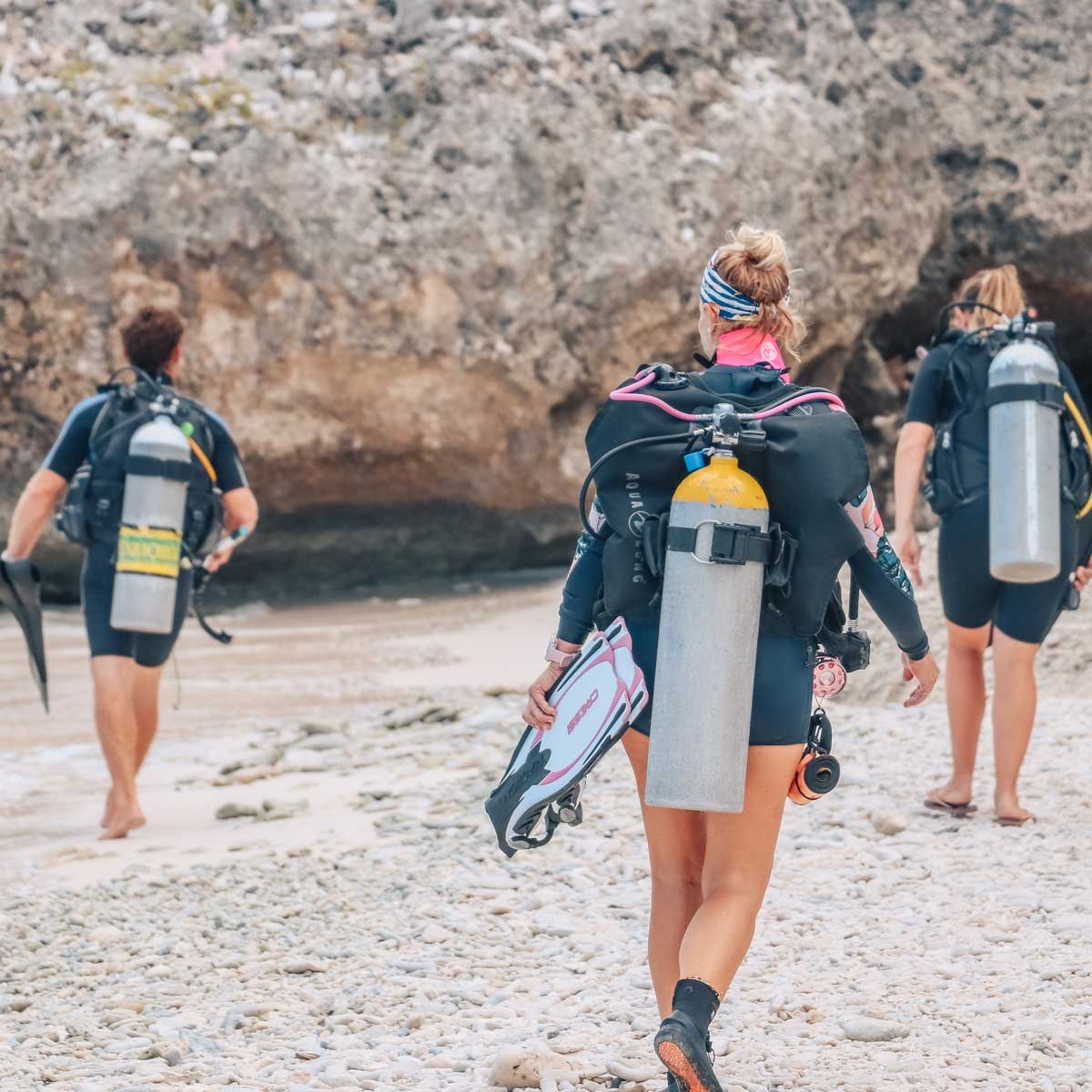 Guided Dives; Diving in Small Groups