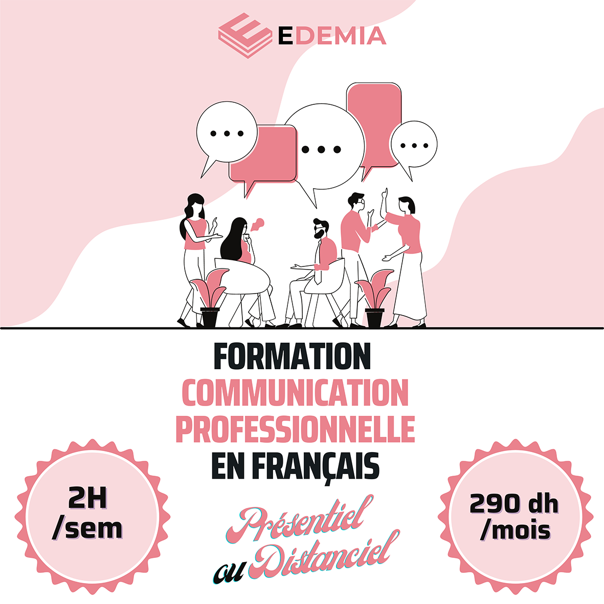 Formation de communication professionnelle en Français