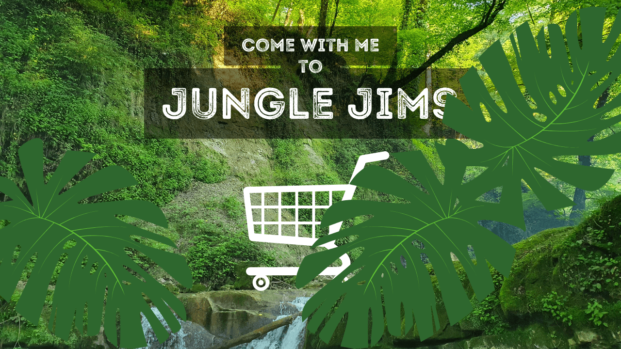 Come with Me to Jungle Jim's