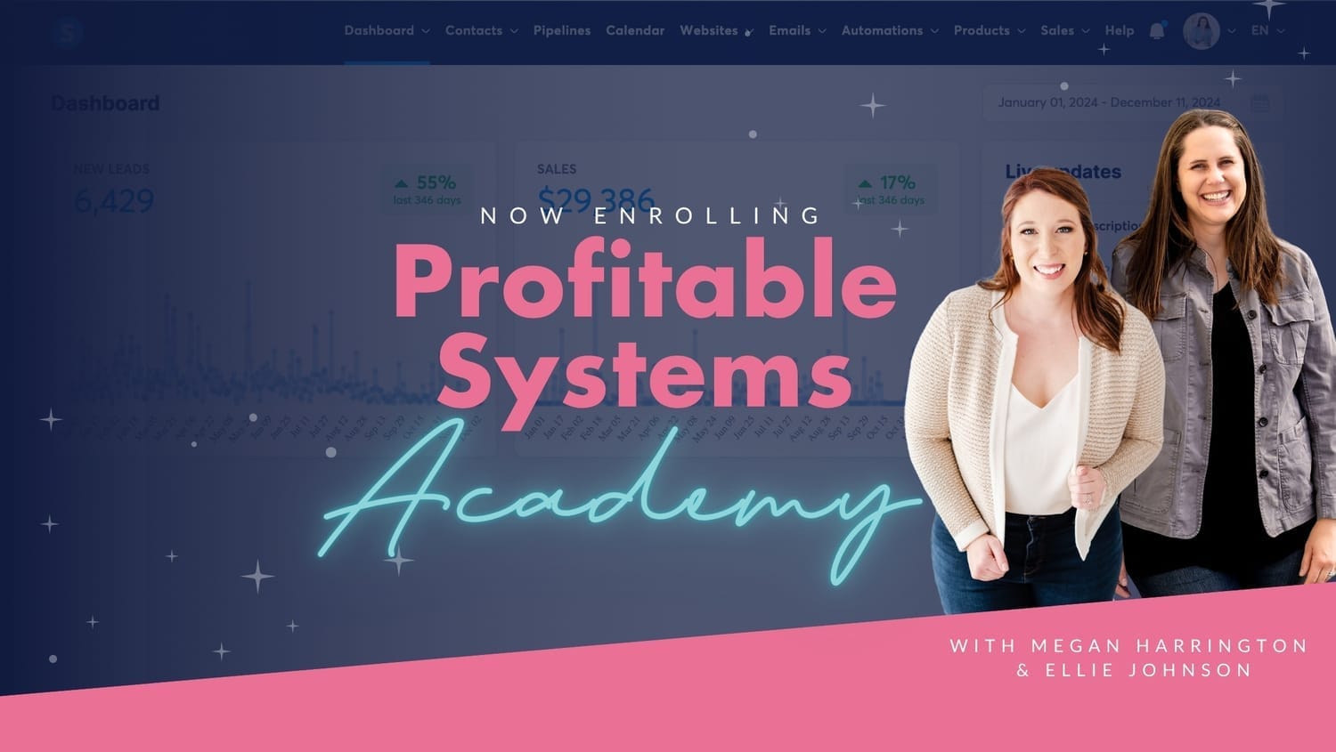 Profitable Systems Academy