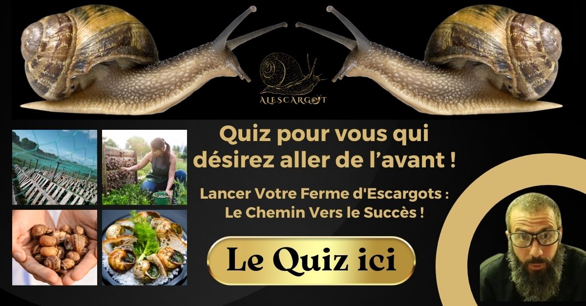 Quizz Alescargot