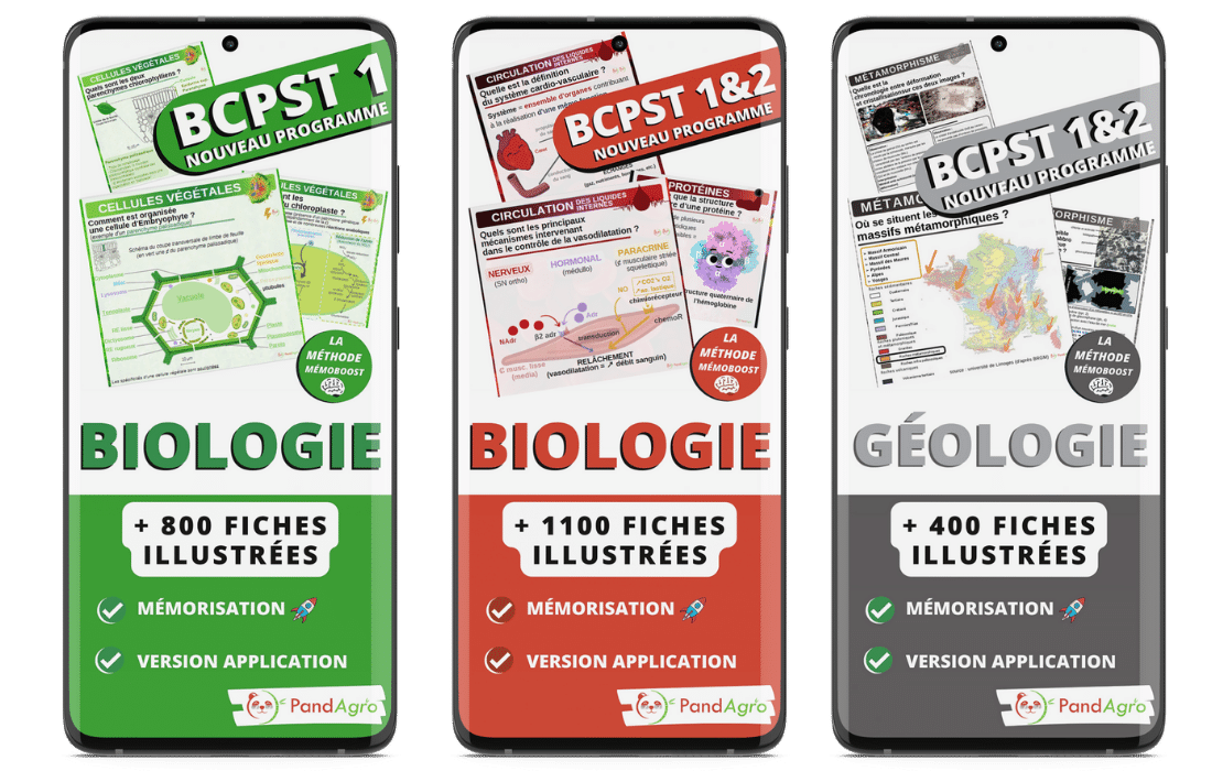 2023 : Comment réussir sa prépa BCPST