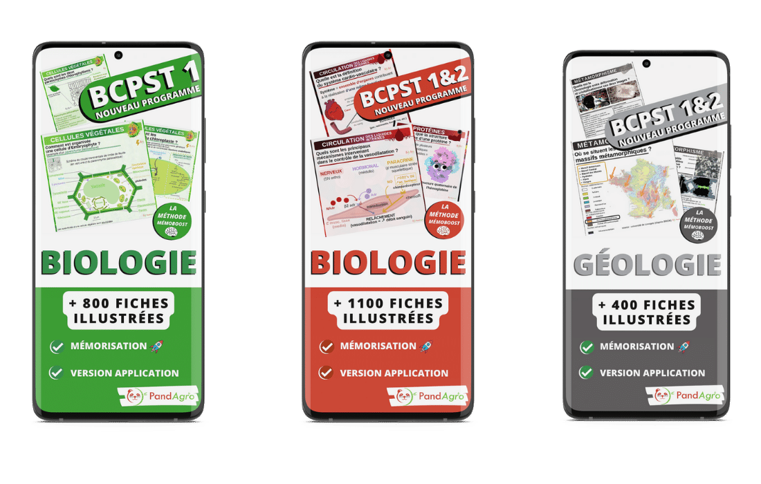 2023 : Comment réussir sa prépa BCPST