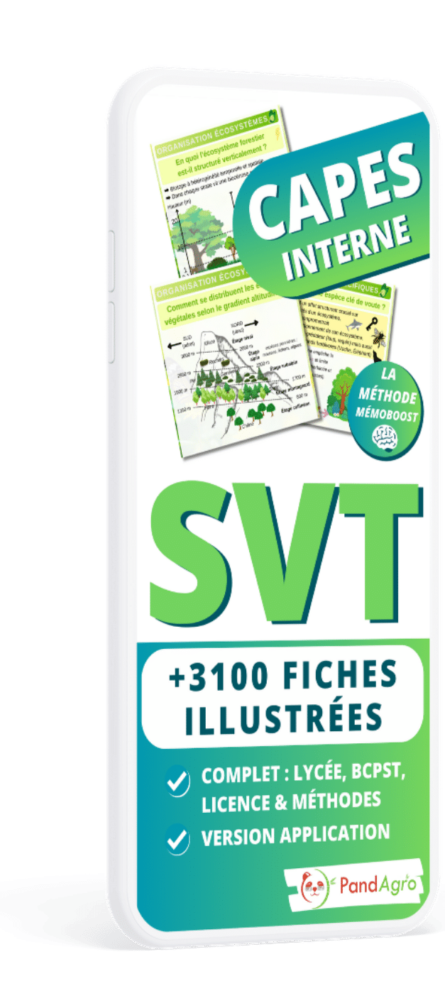 2024 CAPES INTERNE SVT : RAEP, Annales, Rapports et Ressources