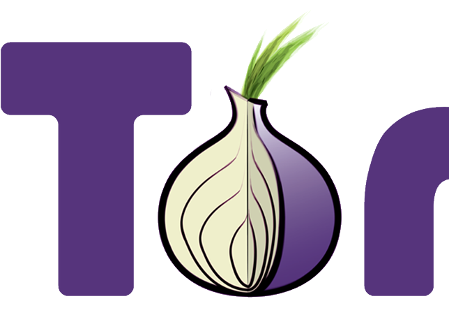 Tor vs. VPN: Which One Should You Use?
