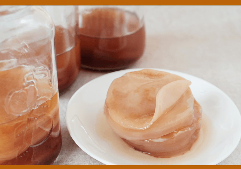 How to Make a Kombucha SCOBY from Scratch