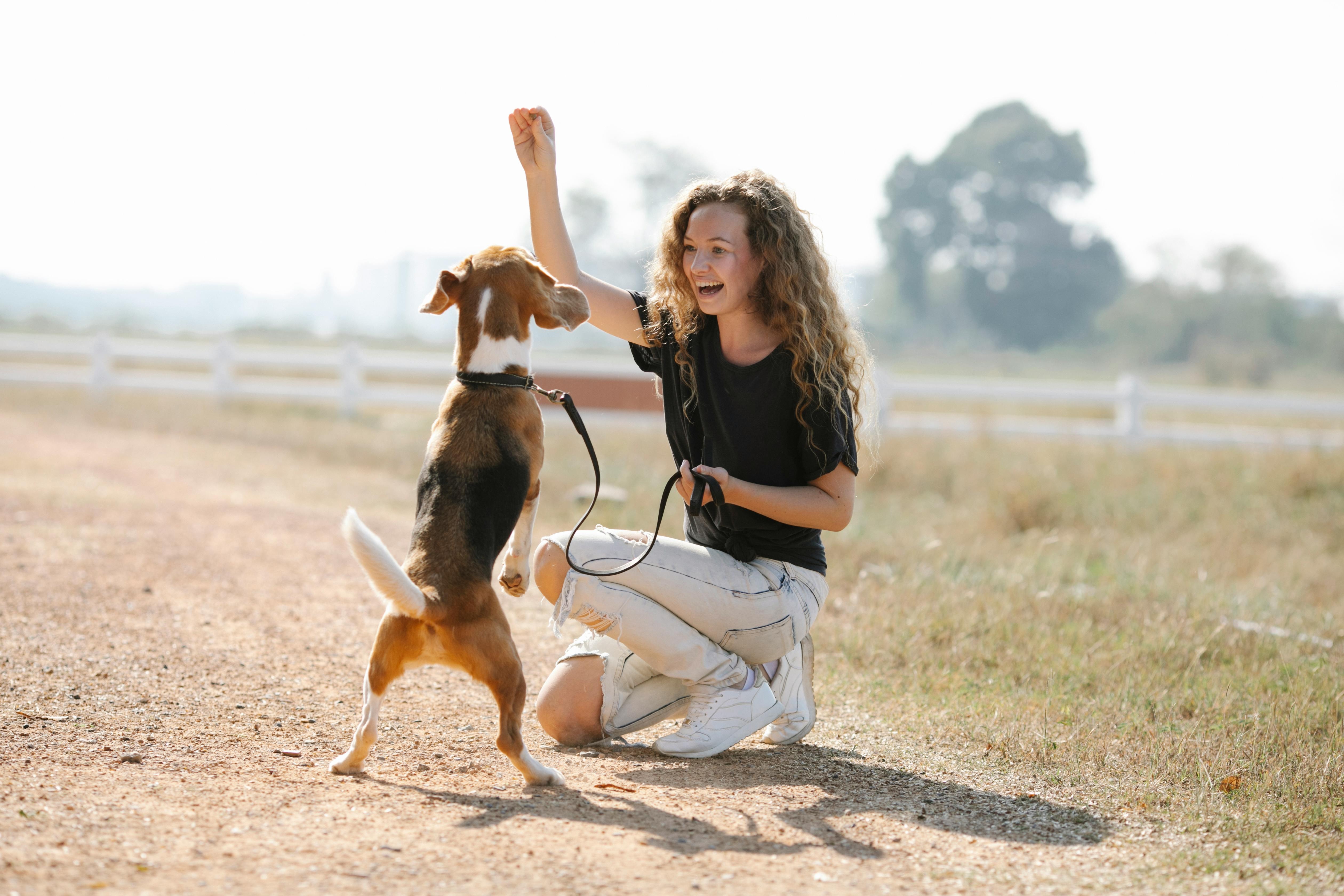 5 Common Dog Training Mistakes