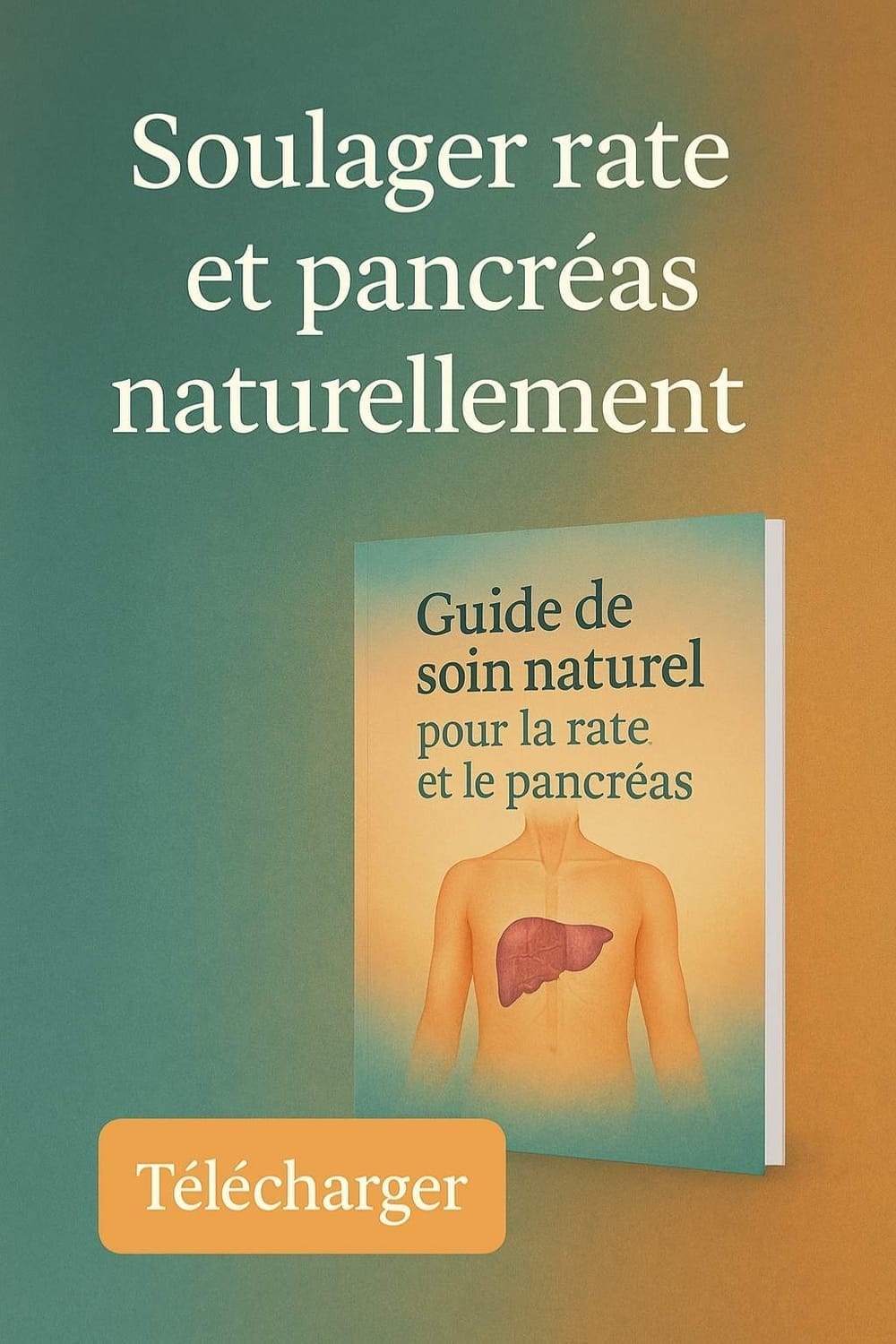 Rate-Pancréas en médecine chinoise : conseils pour soulager la fatigue ...