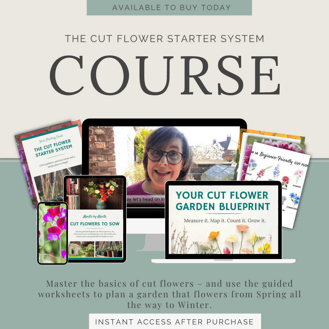 How to Start a Cut Flower Garden - Beginner Course